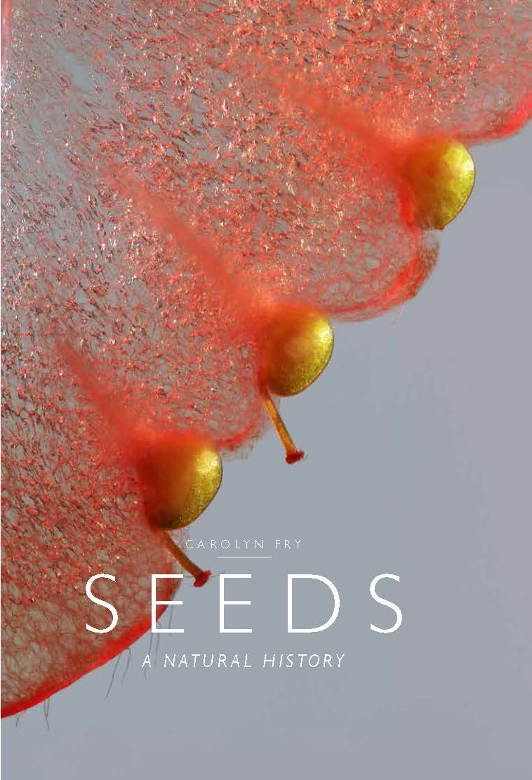 Seeds: A Natural History, Fry