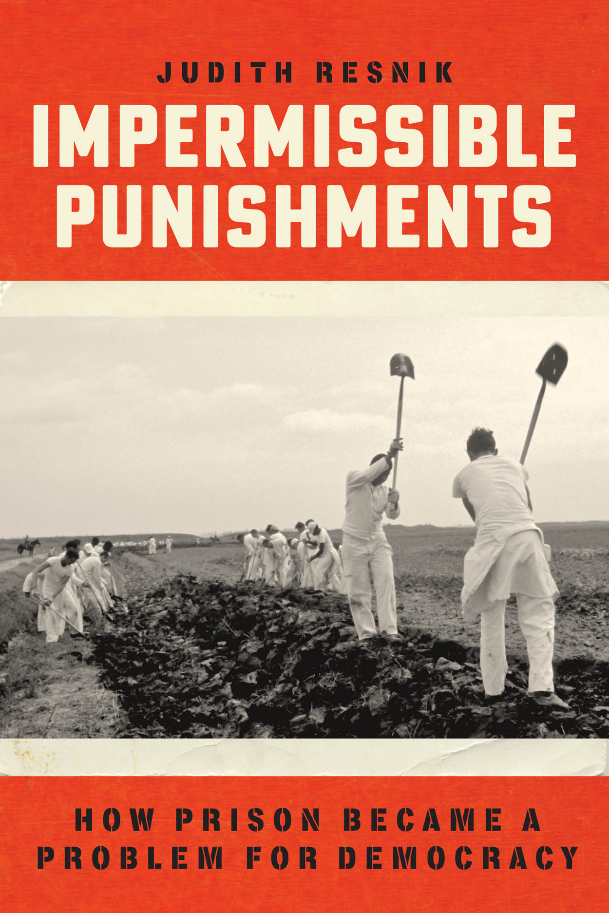 Impermissible Punishments: How Prison Became a Problem for Democracy ...