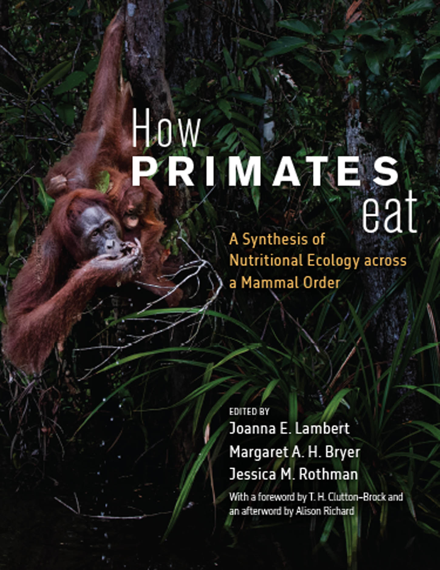How Primates Eat: A Synthesis of Nutritional Ecology across a Mammal ...