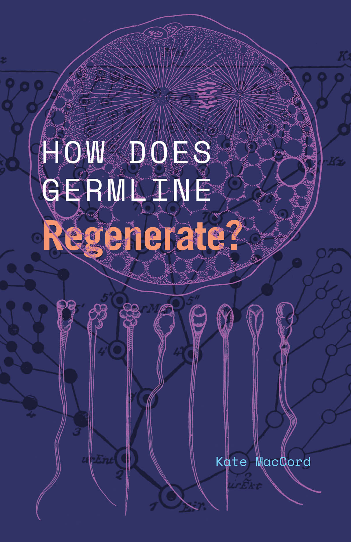 How Does Germline Regenerate?, MacCord