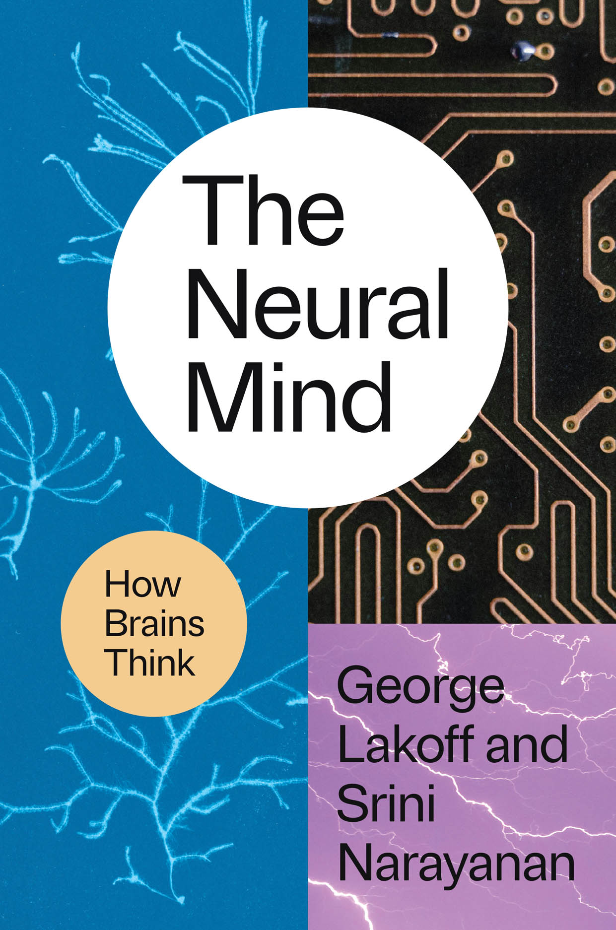 The Neural Mind: How Brains Think, Lakoff, Narayanan