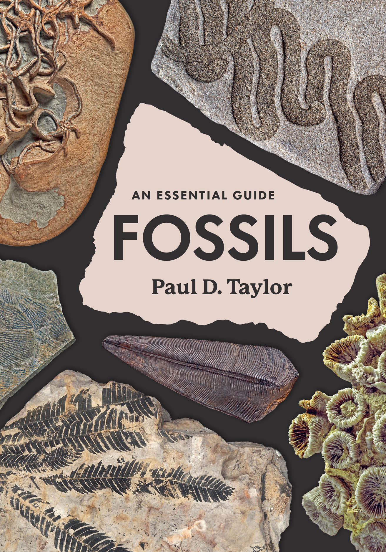 Free Book Fossils And History Paleontology For Kids Paleontology For