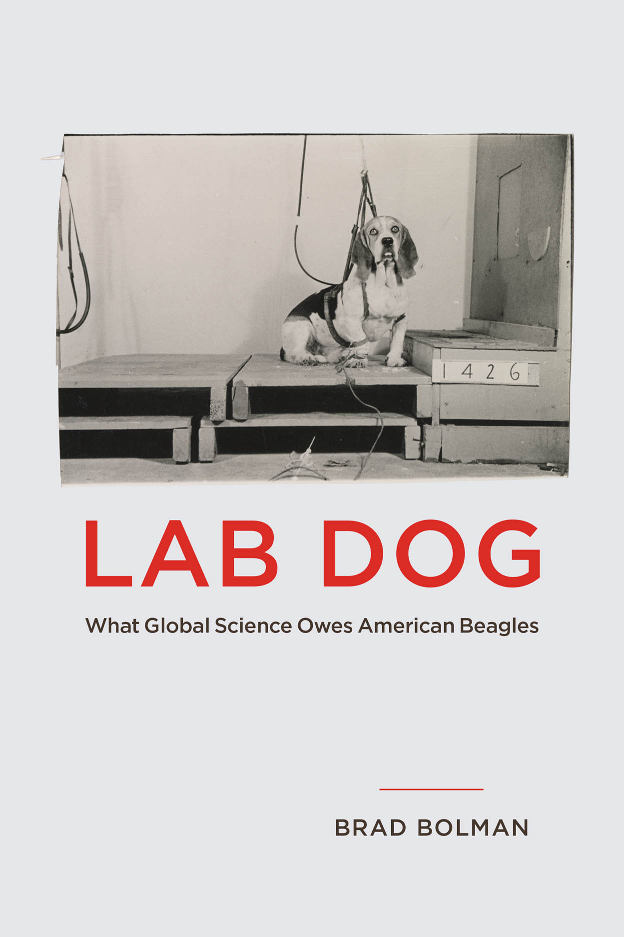 Lab Dog: What Global Science Owes American Beagles, Bolman