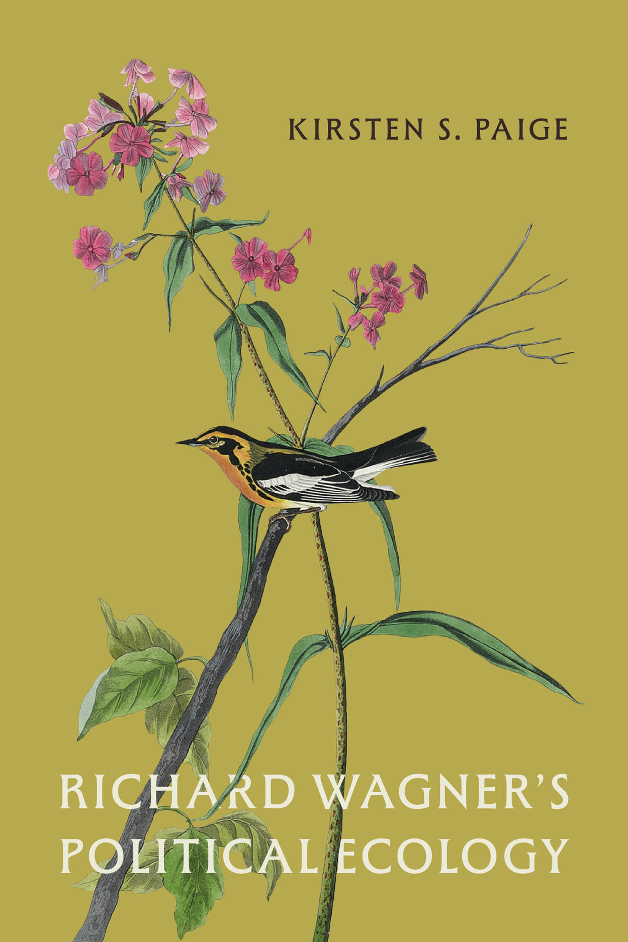 Richard Wagner’s Political Ecology, Paige