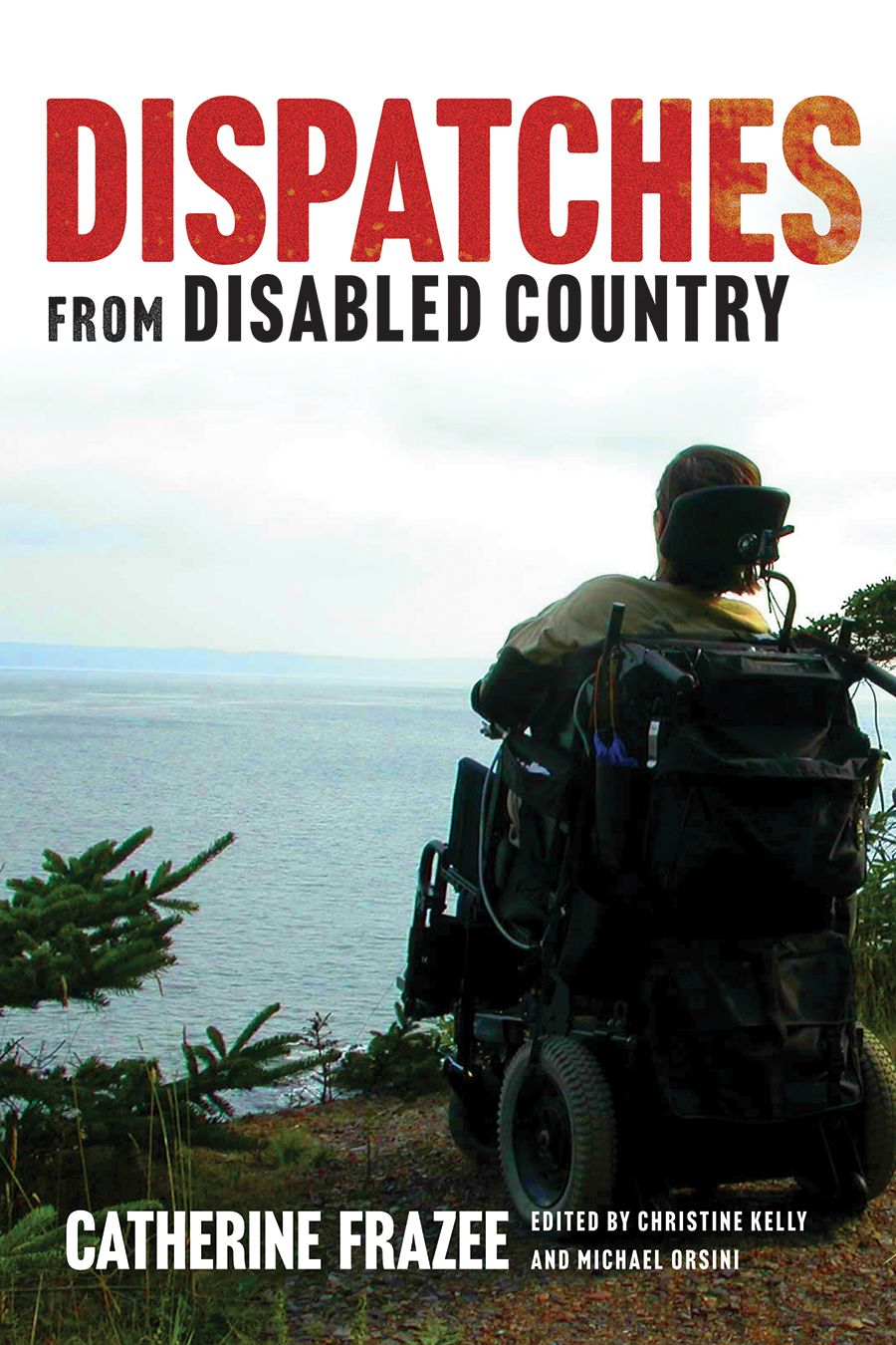 Dispatches from Disabled Country, Frazee, Kelly, Orsini