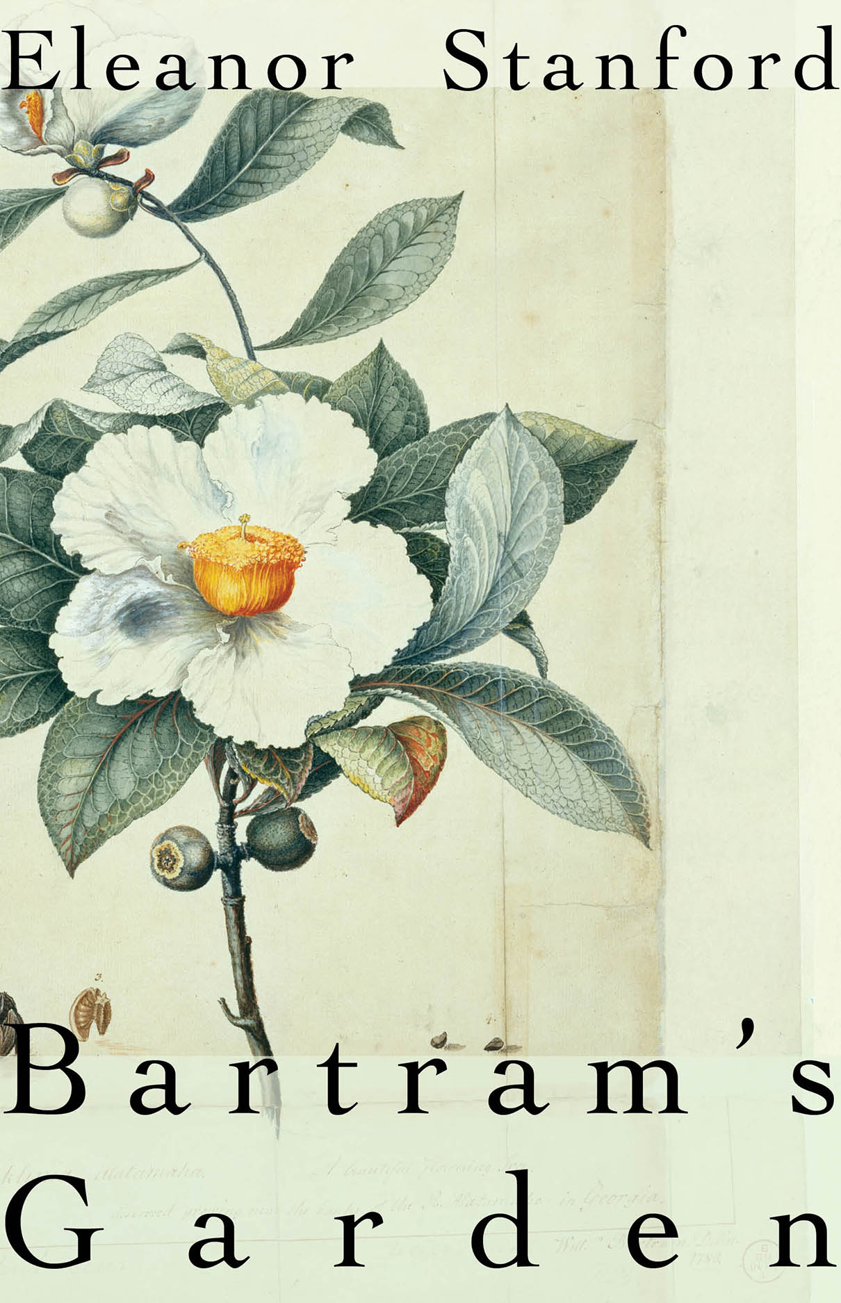 Bartram’s Garden, Stanford