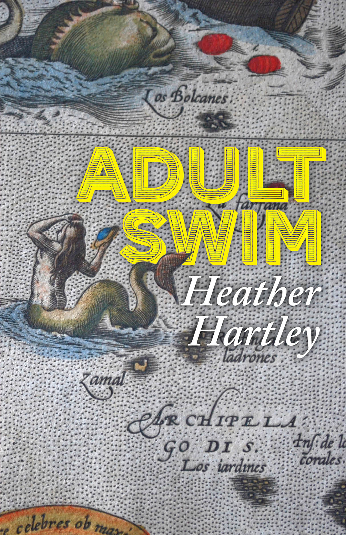 Adult Swim, Hartley