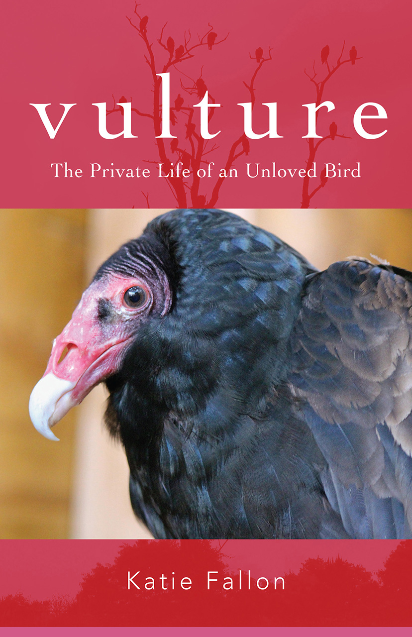 Vulture: The Private Life of an Unloved Bird, Fallon
