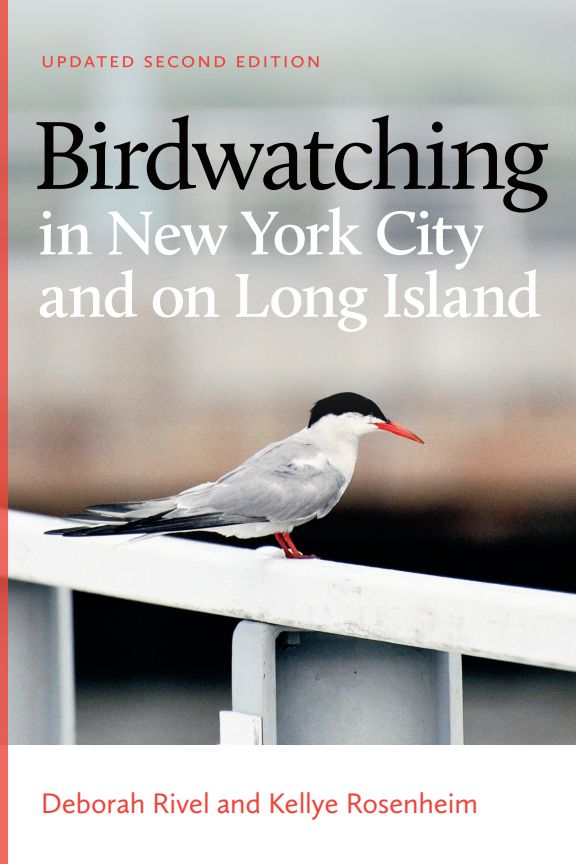 Birdwatching in New York City and on Long Island: Second Edition, Rivel, Rosenheim