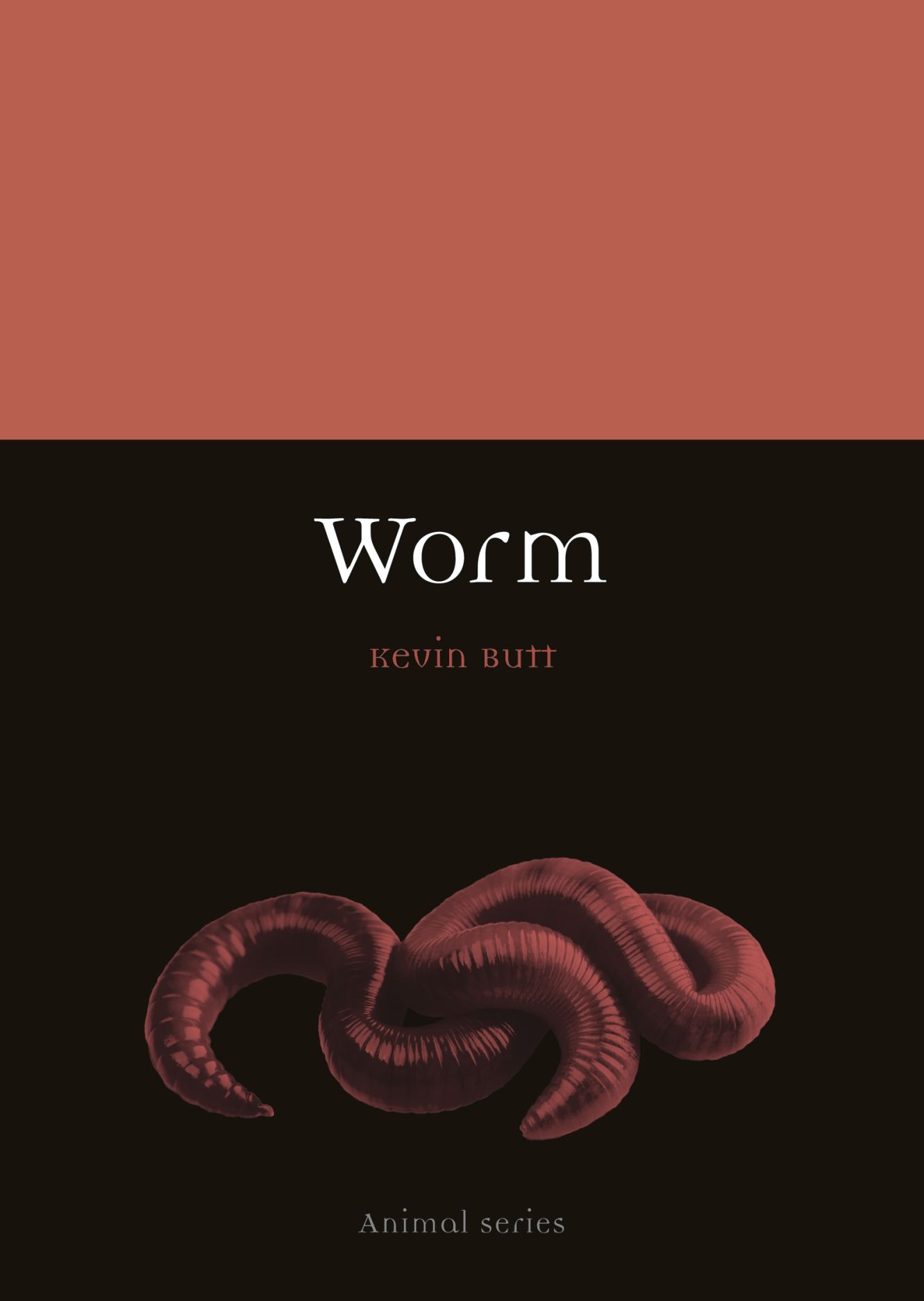 Worm, Butt