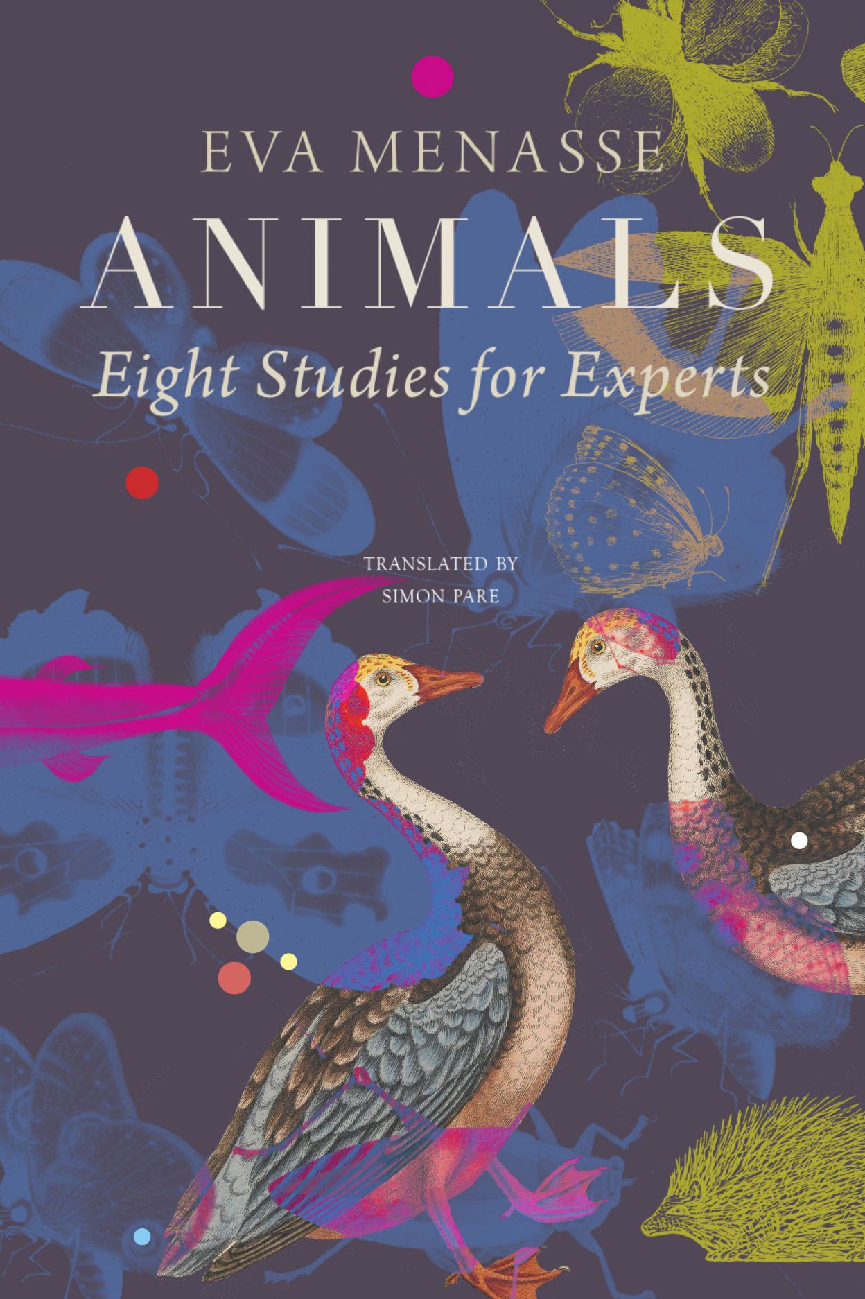 Animals: Eight Studies for Experts, Menasse, Pare