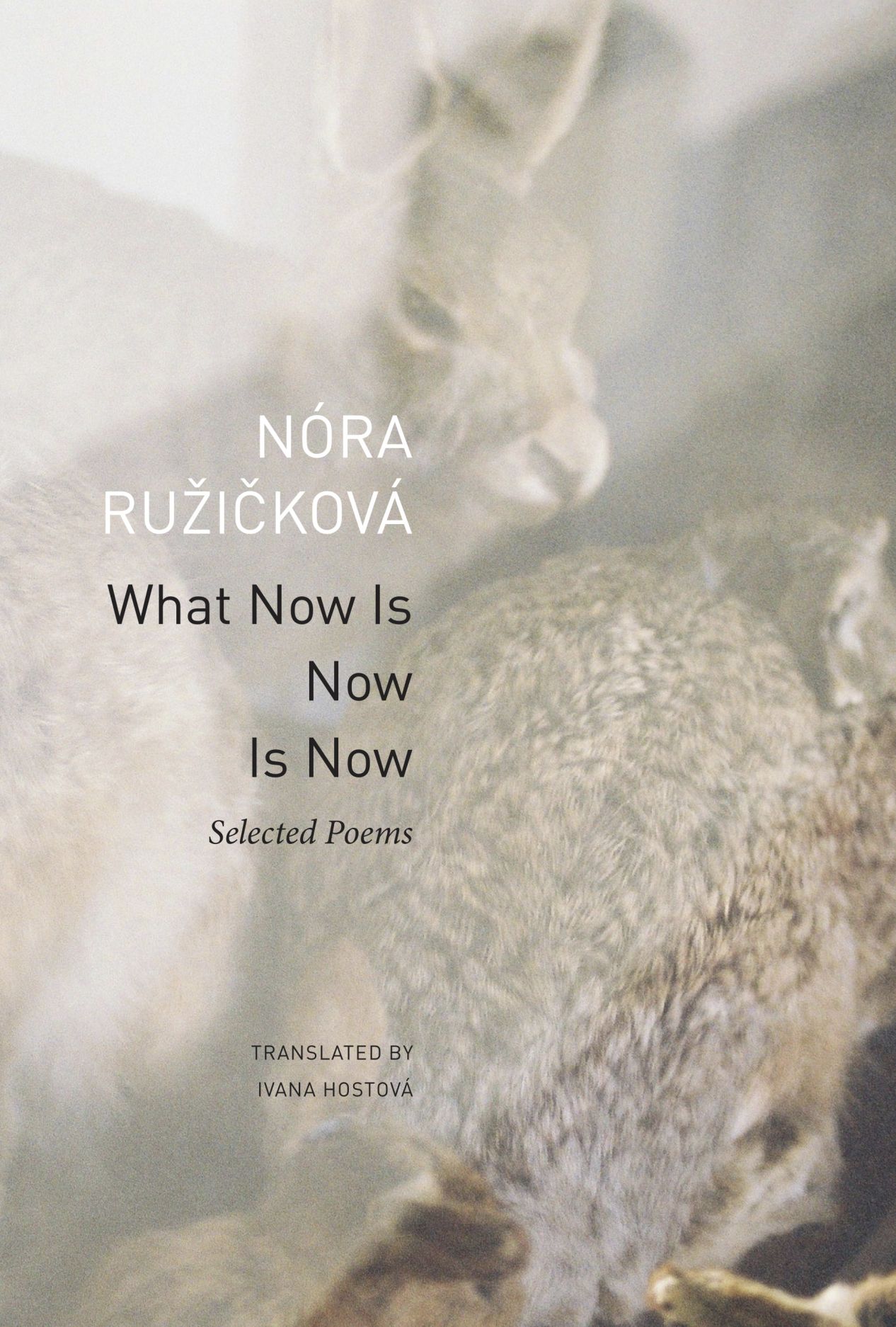 What Now Is Now Is Now: Selected Poems, Ružicková, Hostová