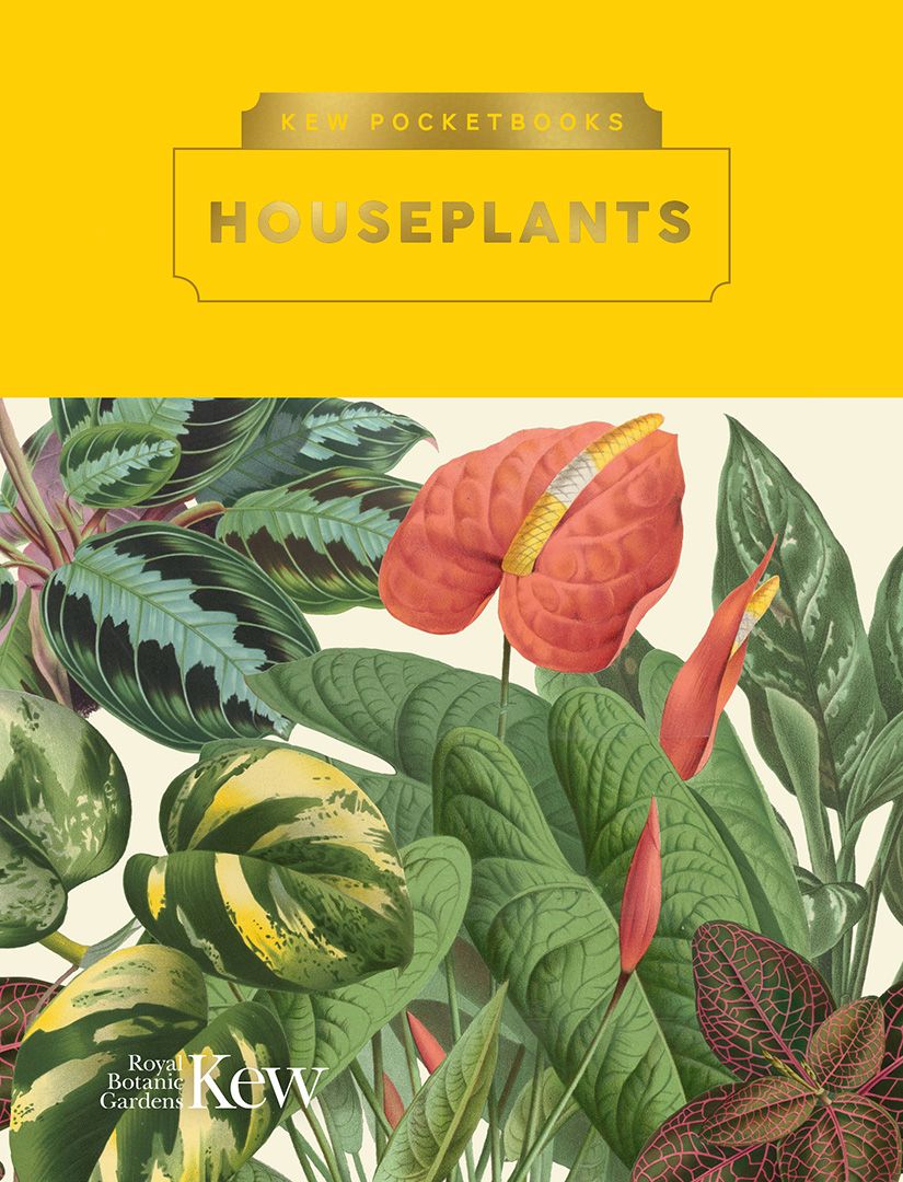 Kew Pocketbooks: Houseplants, Langley