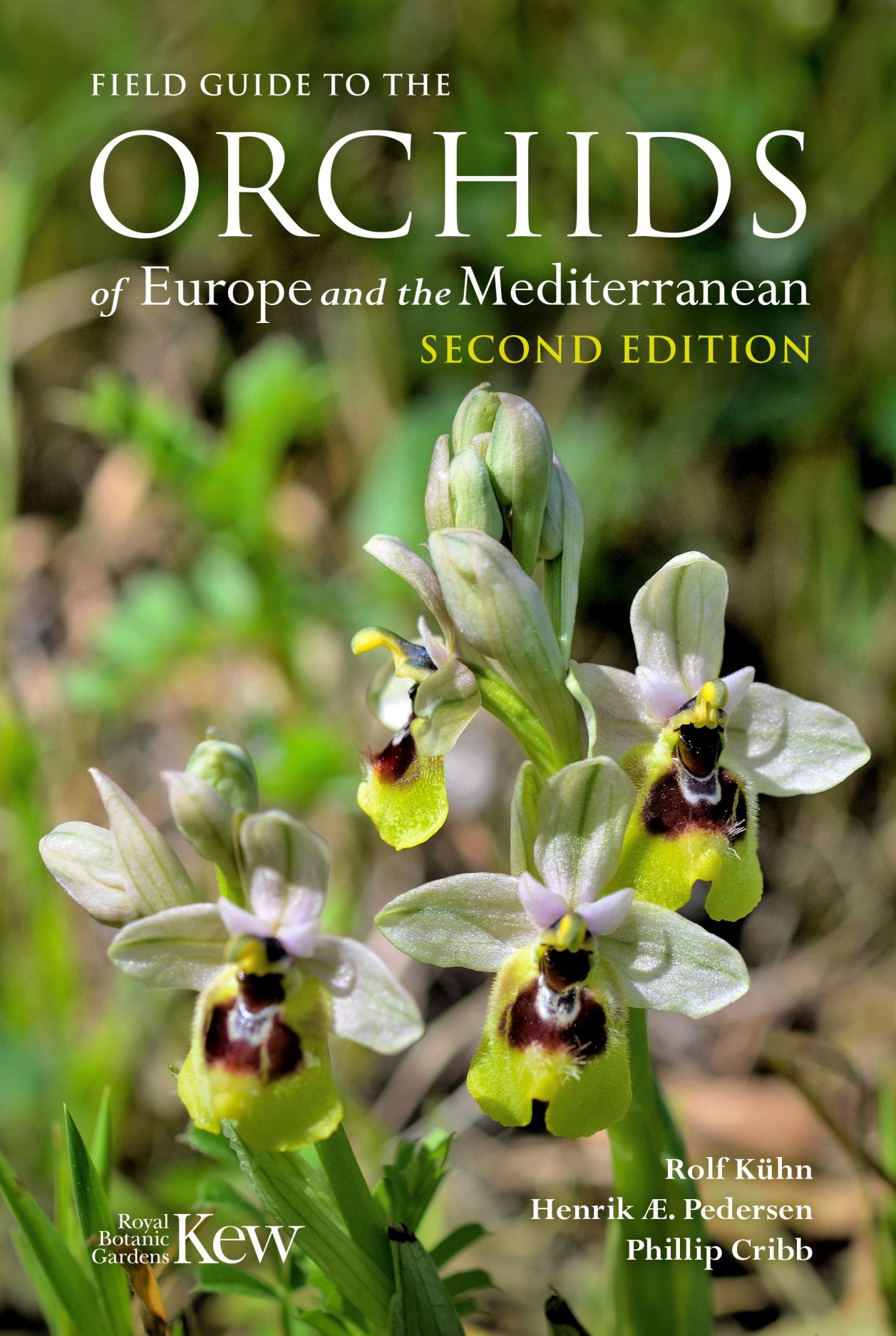 Field Guide to the Orchids of Europe and the Mediterranean, Kühn ...