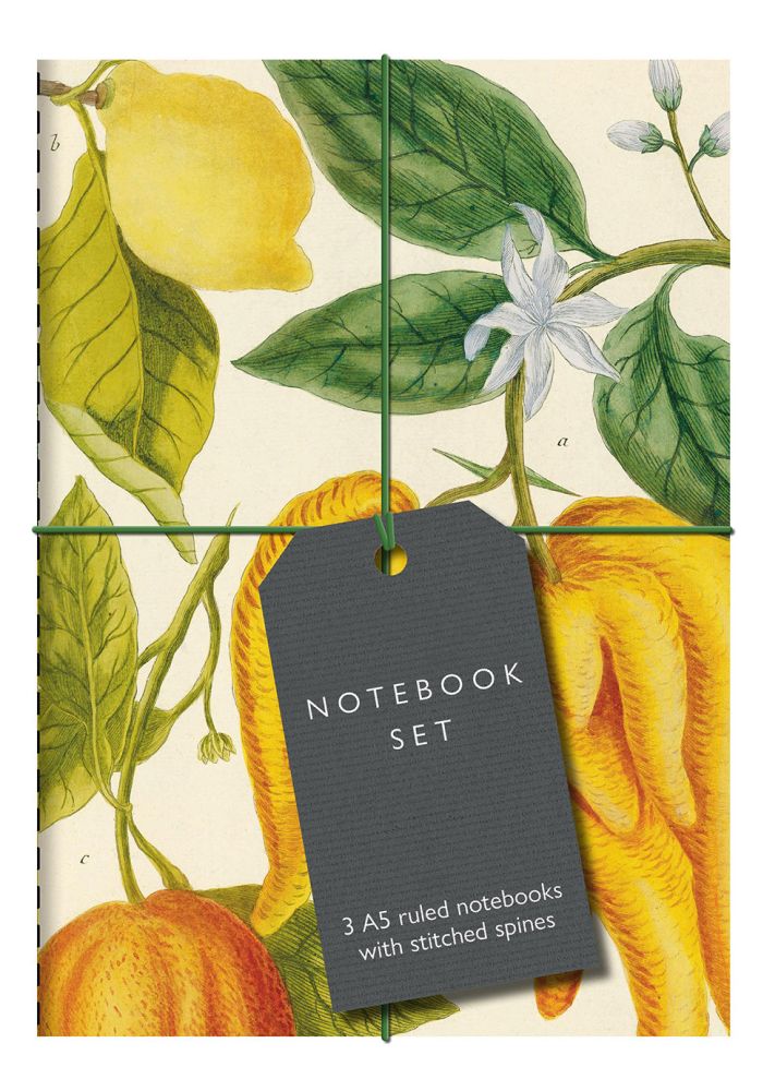 Botanical Art Notebook Set - Lemon, Chillis and Apples: 3 A5 Ruled ...