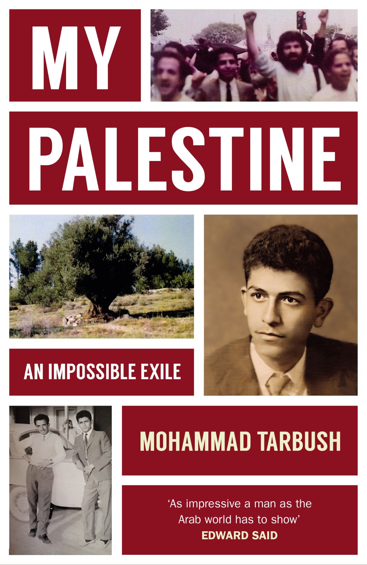 My Palestine: An Impossible Exile, Tarbush, Tarbush