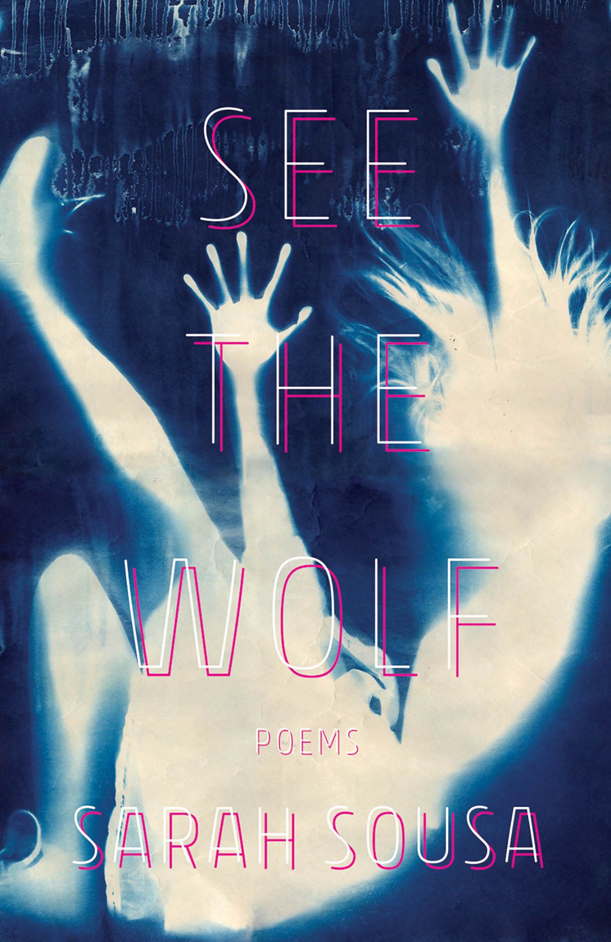 See the Wolf, Sousa