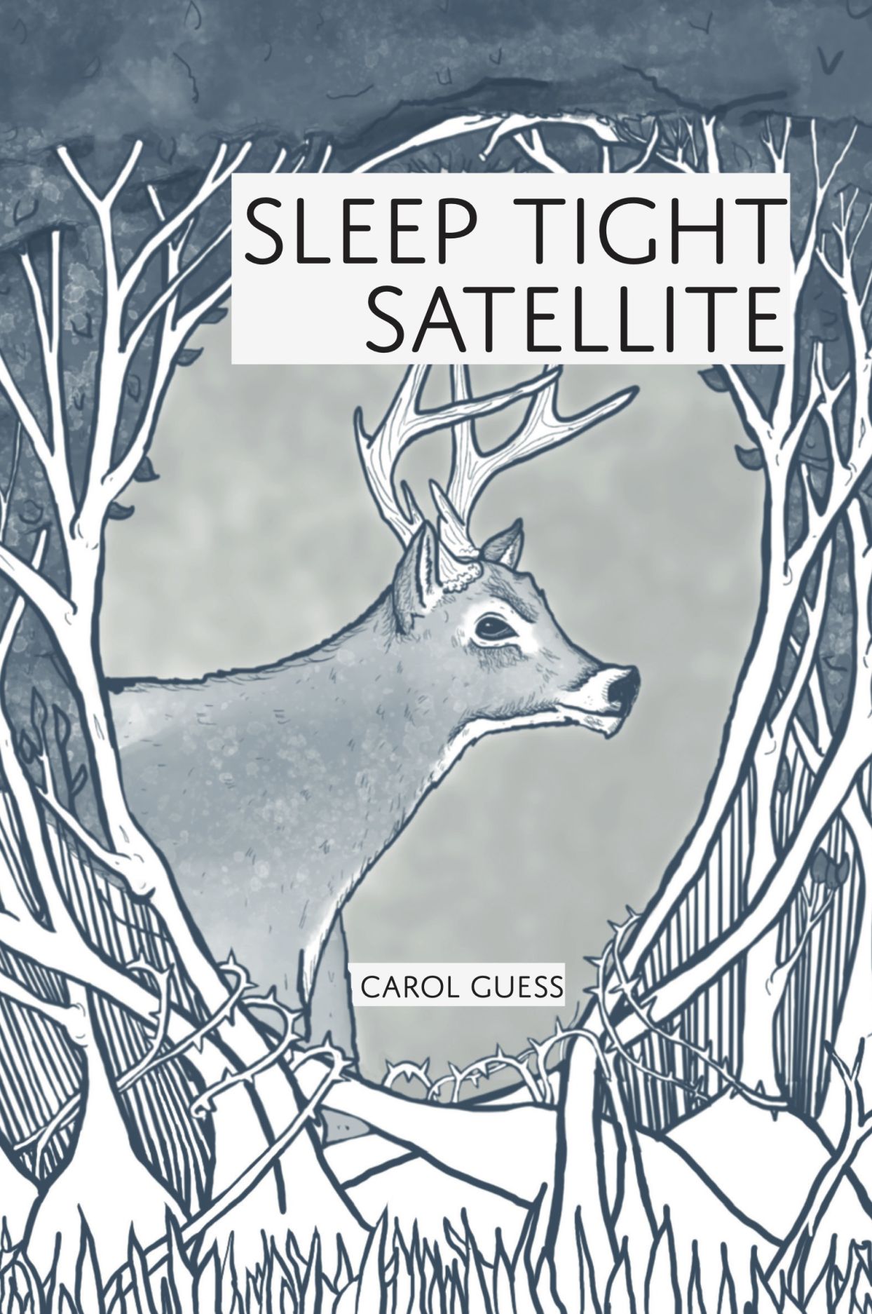 Sleep Tight Satellite: Stories, Guess