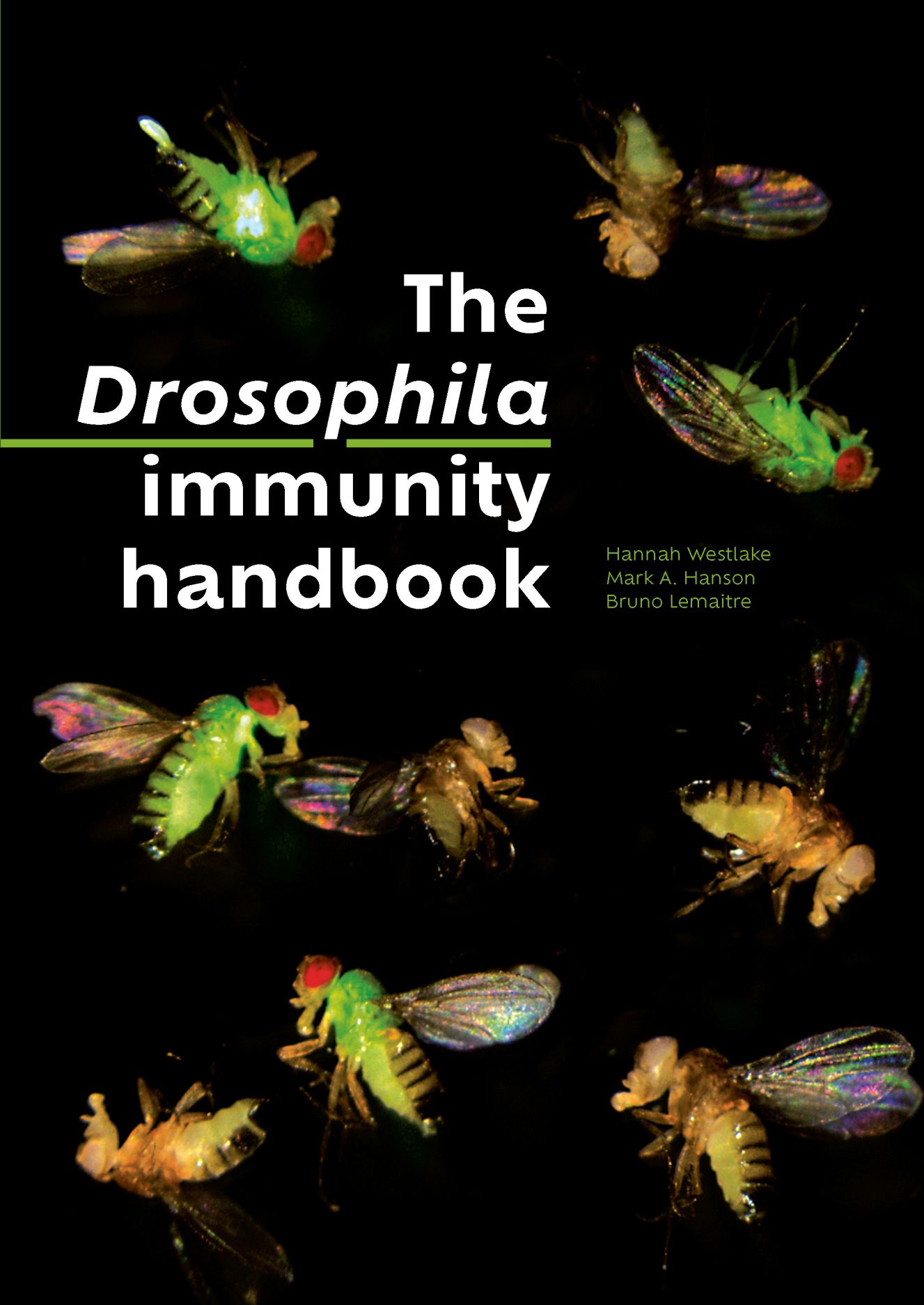 Drosophila Immunity Handbook, Westlake, Hanson, Lemaitre